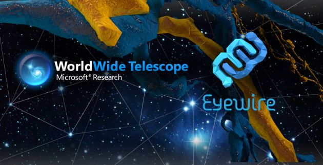 TED 2014 Update: Attendees had a 'walk' into the vastness of the ...